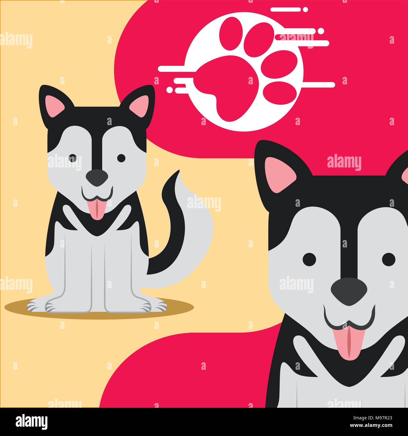 Husky dog cat on Stock Vector Images - Alamy