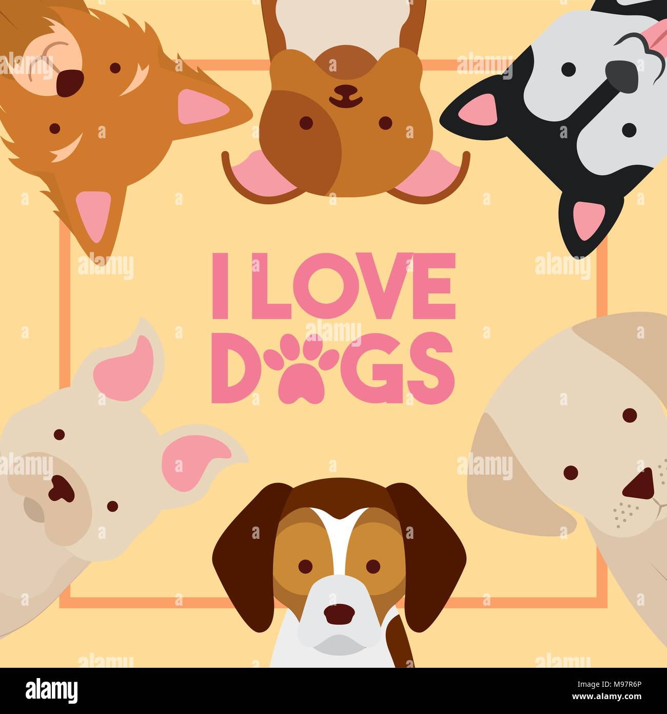 Husky dog cat on Stock Vector Images - Alamy