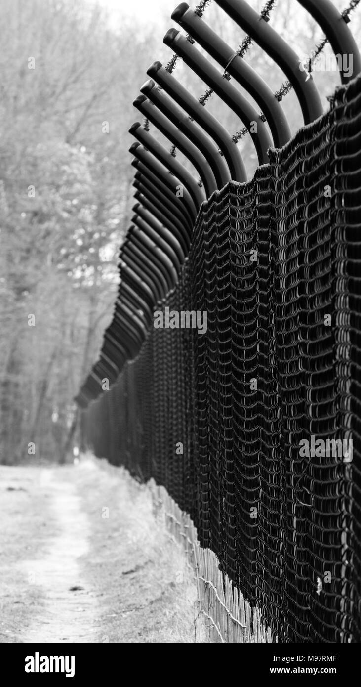 Wire fence between trees hi-res stock photography and images - Alamy