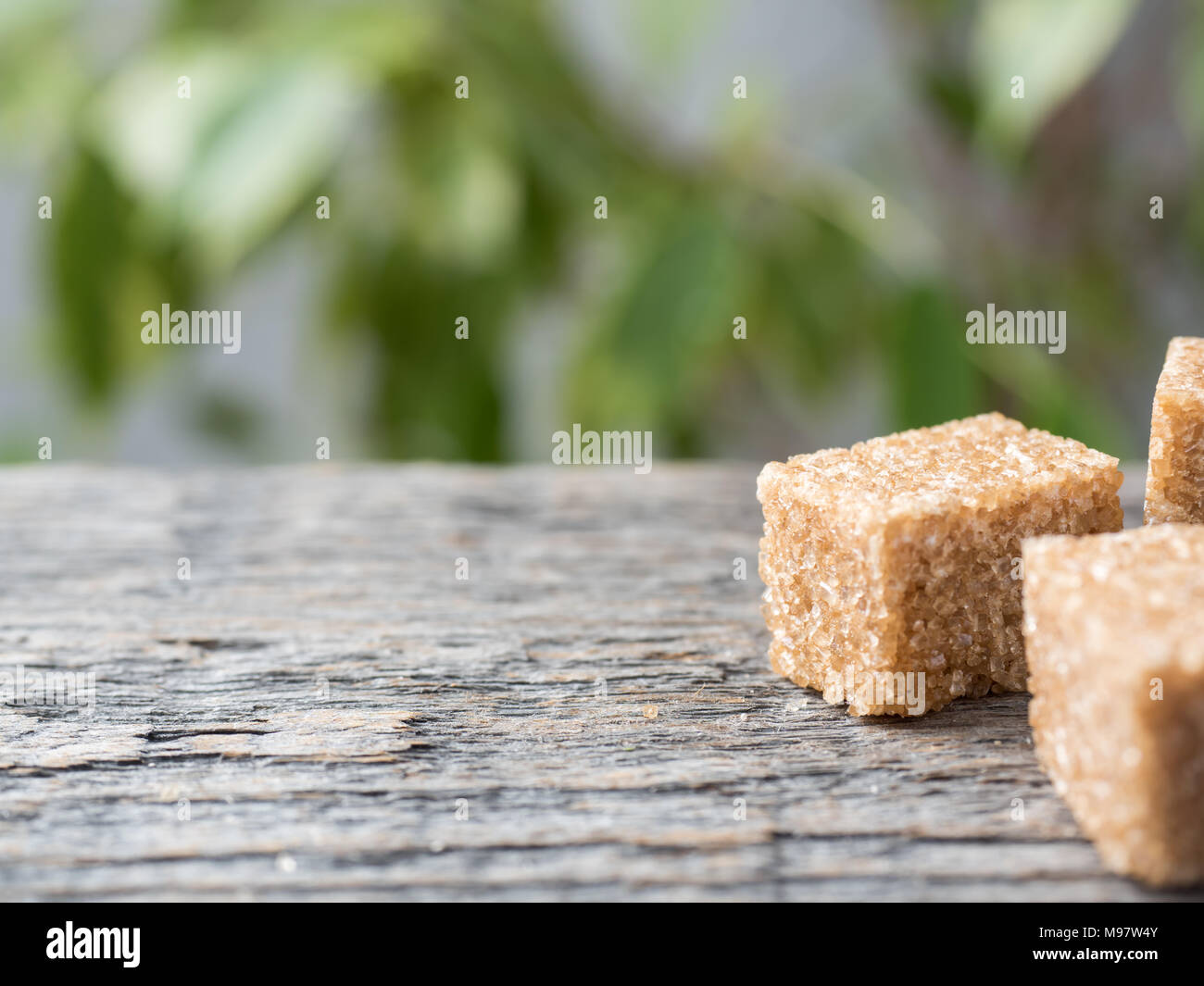 Brown cane sugar on wooden background. Green tree with leaves Stock ...