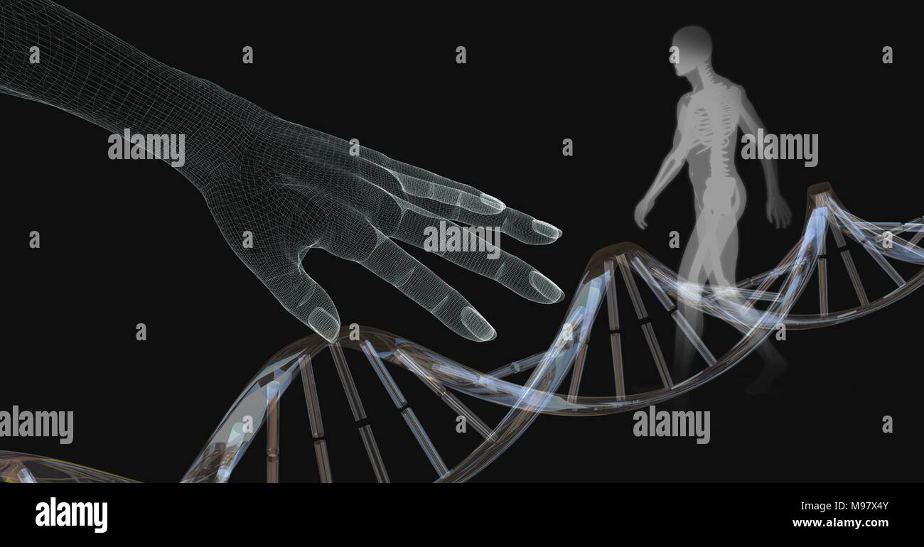 Genetic DNA of human transparent Stock Photo - Alamy
