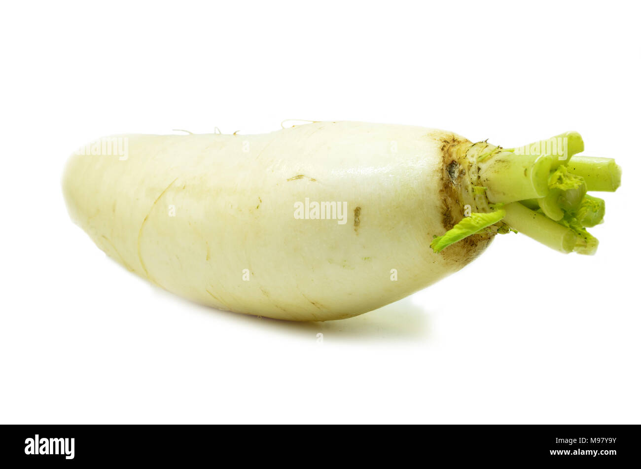 Close up of raddish on white background Stock Photo - Alamy