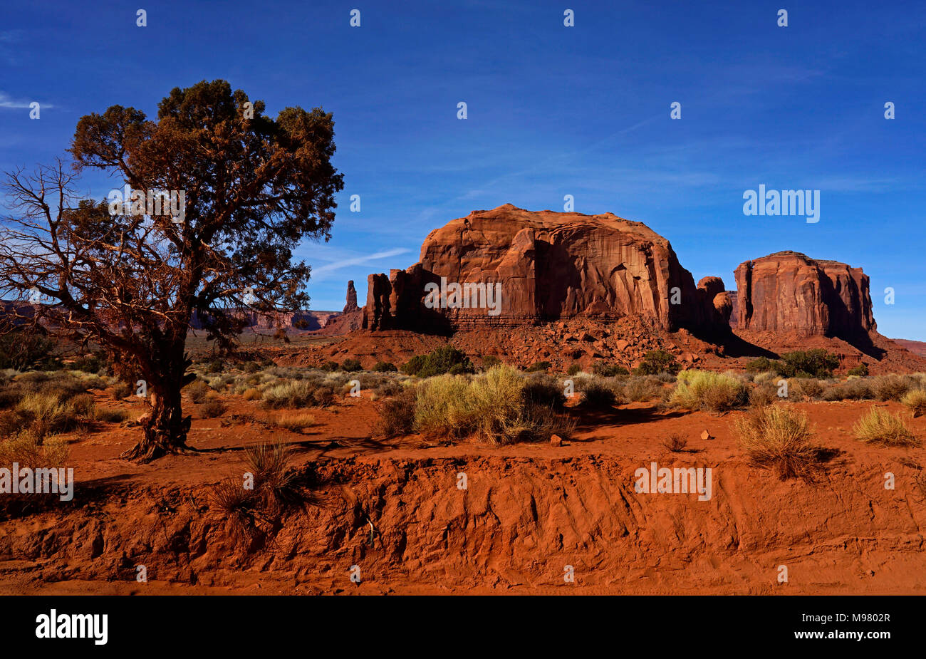 United states monument hi-res stock photography and images - Alamy