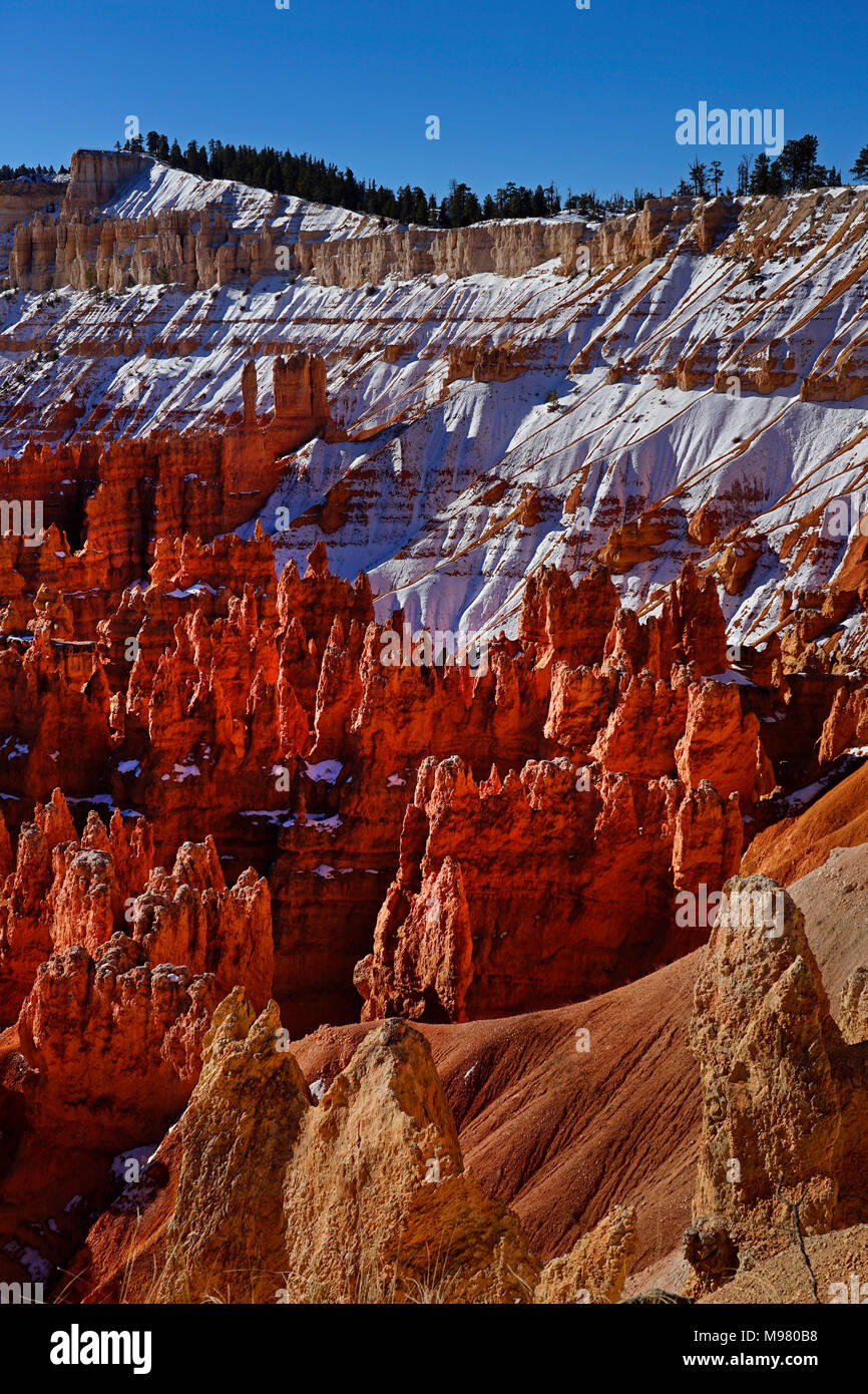 Bryce Canyon National Park,Utah,America,USA Stock Photo - Alamy