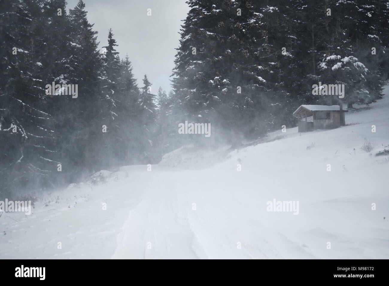 Blizzard image hi-res stock photography and images - Alamy