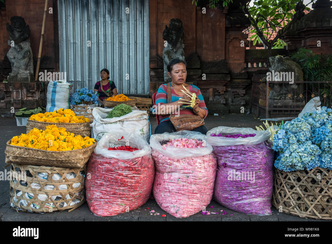 Daily life on Bali Indonesia Stock Photo - Alamy