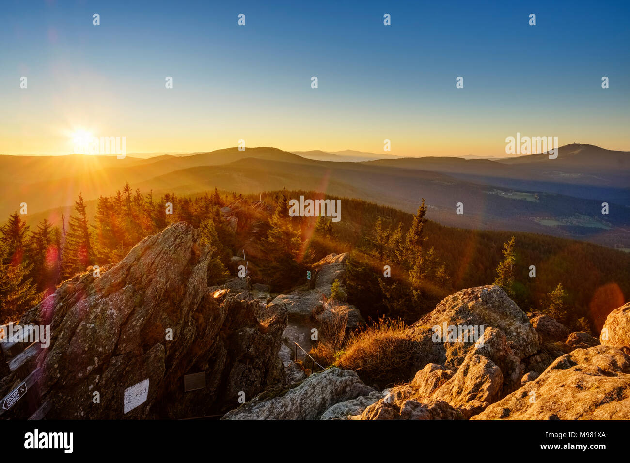 Grosser osser bei lam hi-res stock photography and images - Alamy