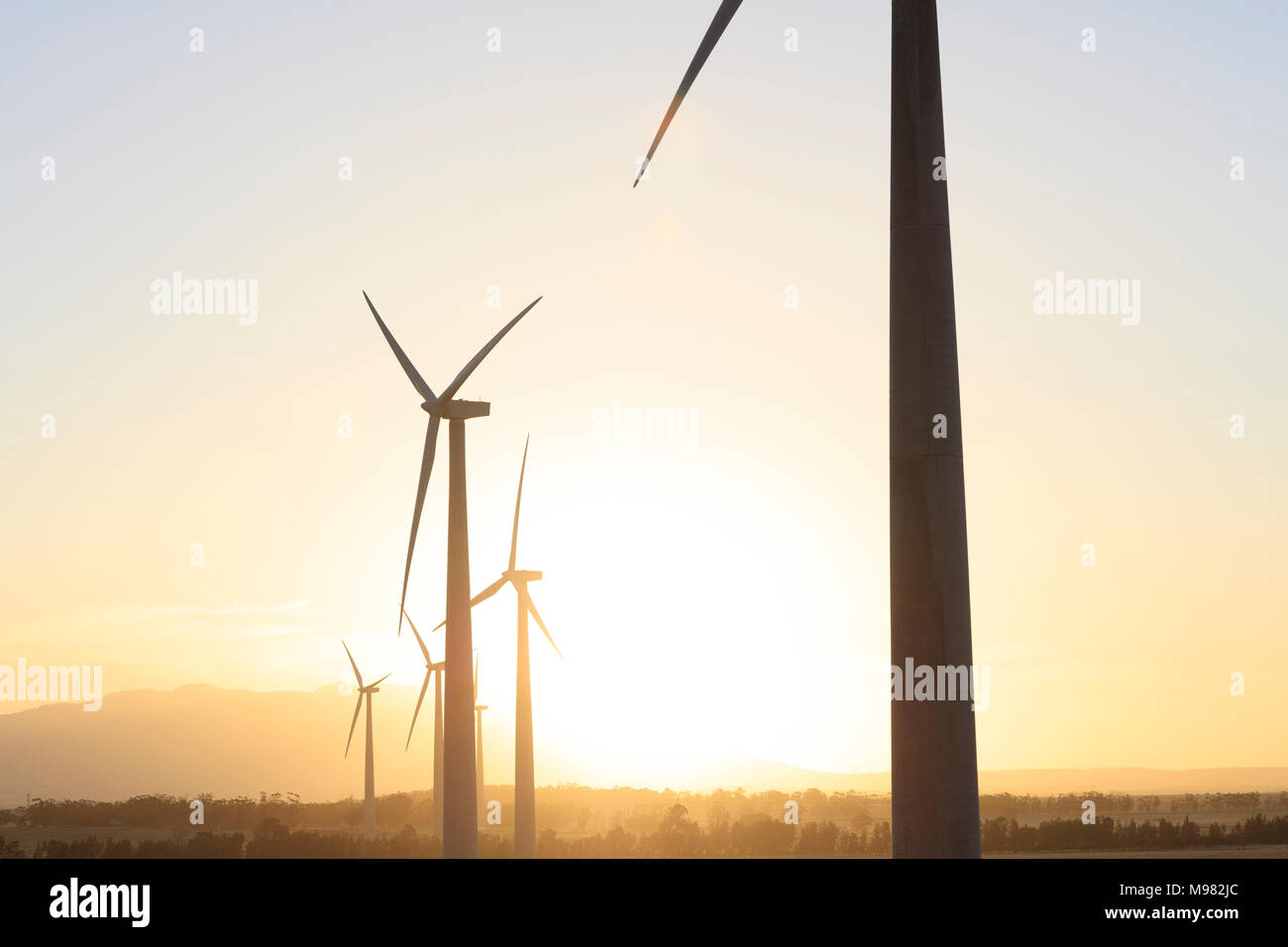 Wind farm at sunset Stock Photo - Alamy