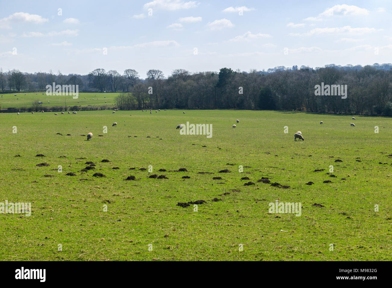 Open country field hi-res stock photography and images - Alamy
