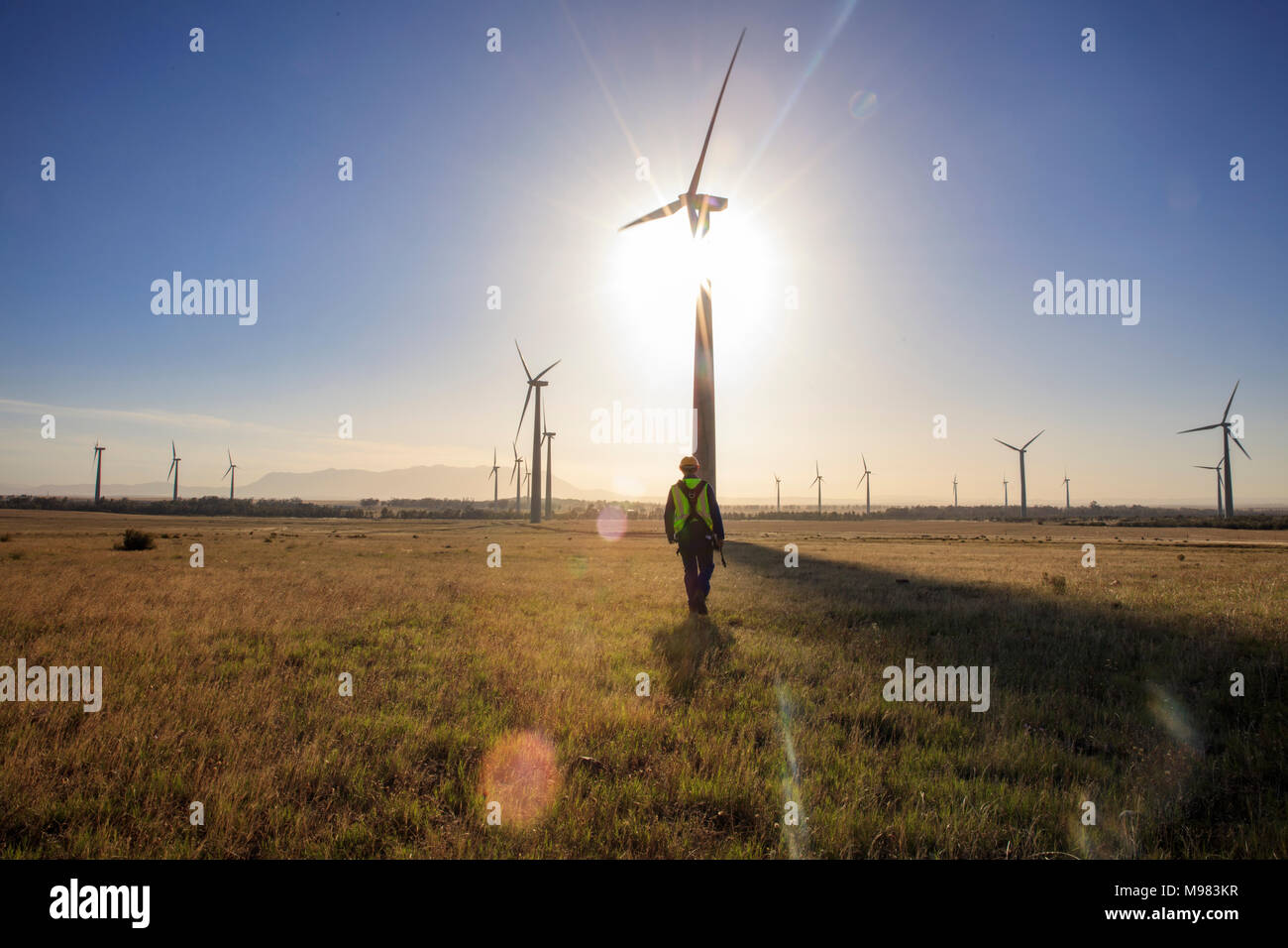 Engineer walking on a wind farm at sunset Stock Photo - Alamy