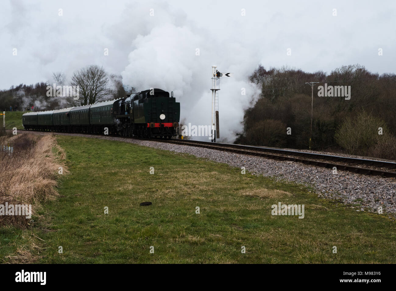 Steam train near Corfe castle Stock Photo - Alamy