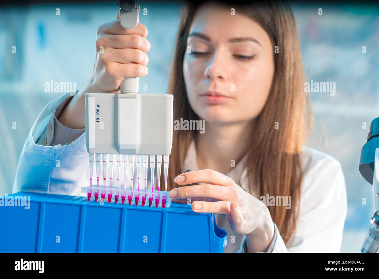 student woman with multi pipette and other PCR items in microbiological ...