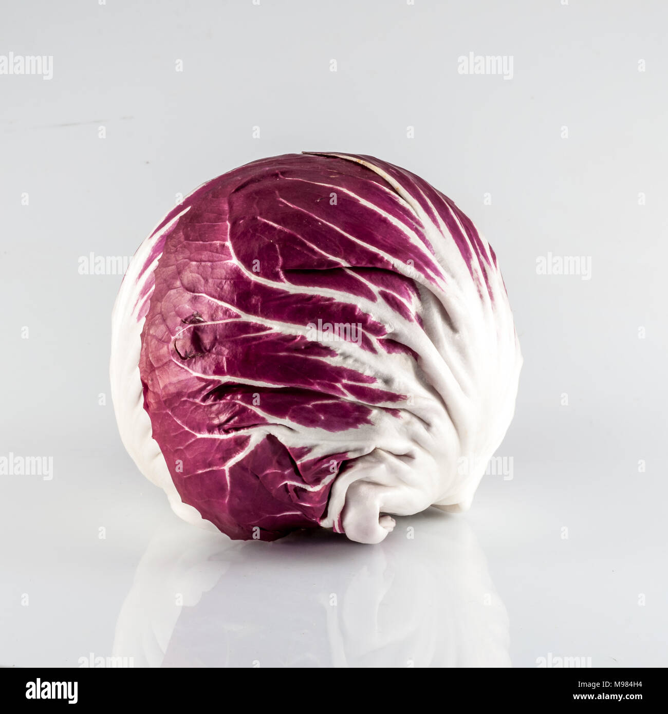 Isolated of one red chicory on white background Stock Photo - Alamy