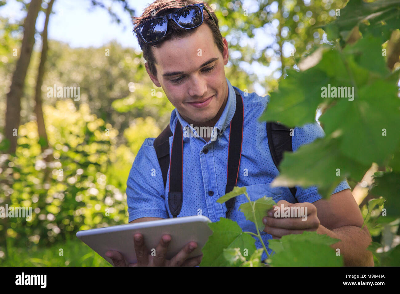 Man using nature hi-res stock photography and images - Alamy