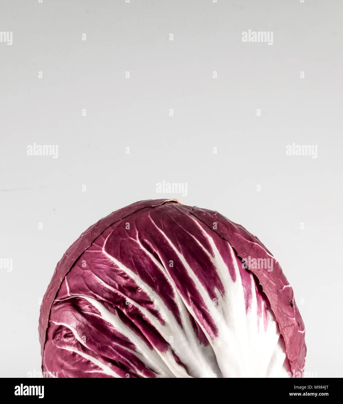 Isolated red chicory on white background Stock Photo - Alamy