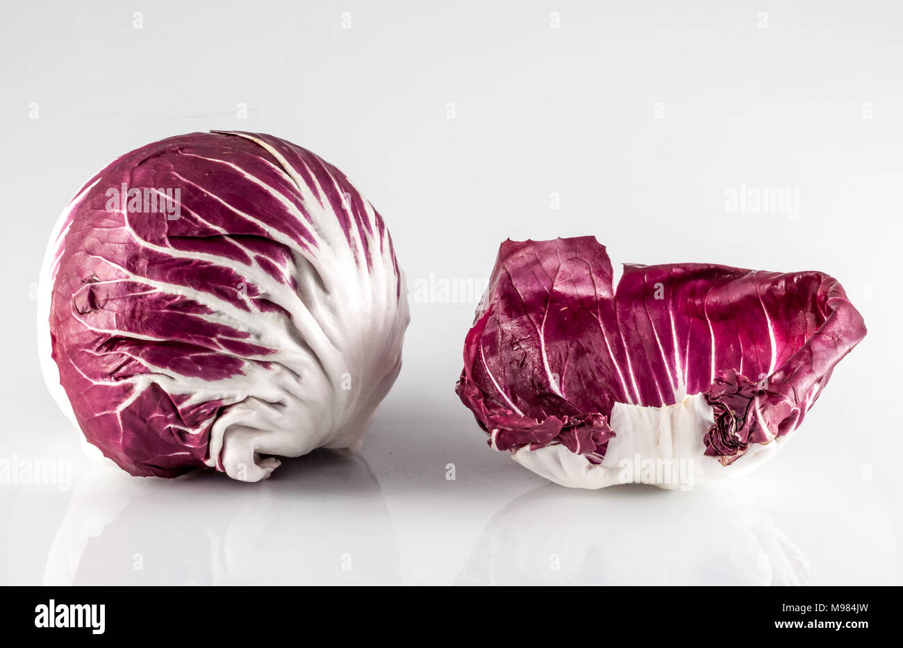 Isolated of one red chicory on white background Stock Photo - Alamy