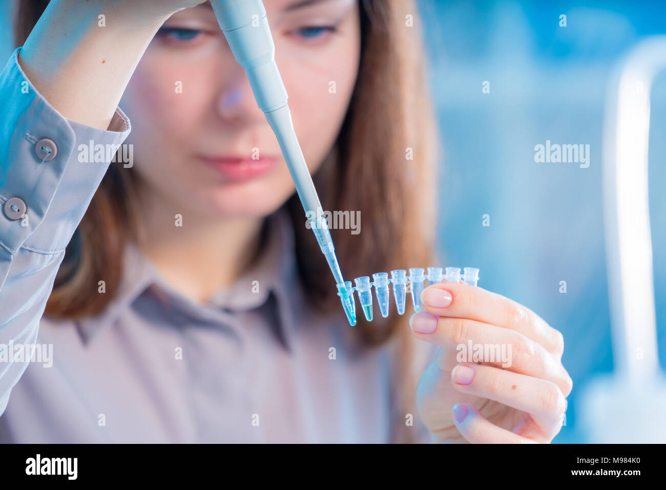 female technician with pipette in lad for DNA forensic testing Stock ...