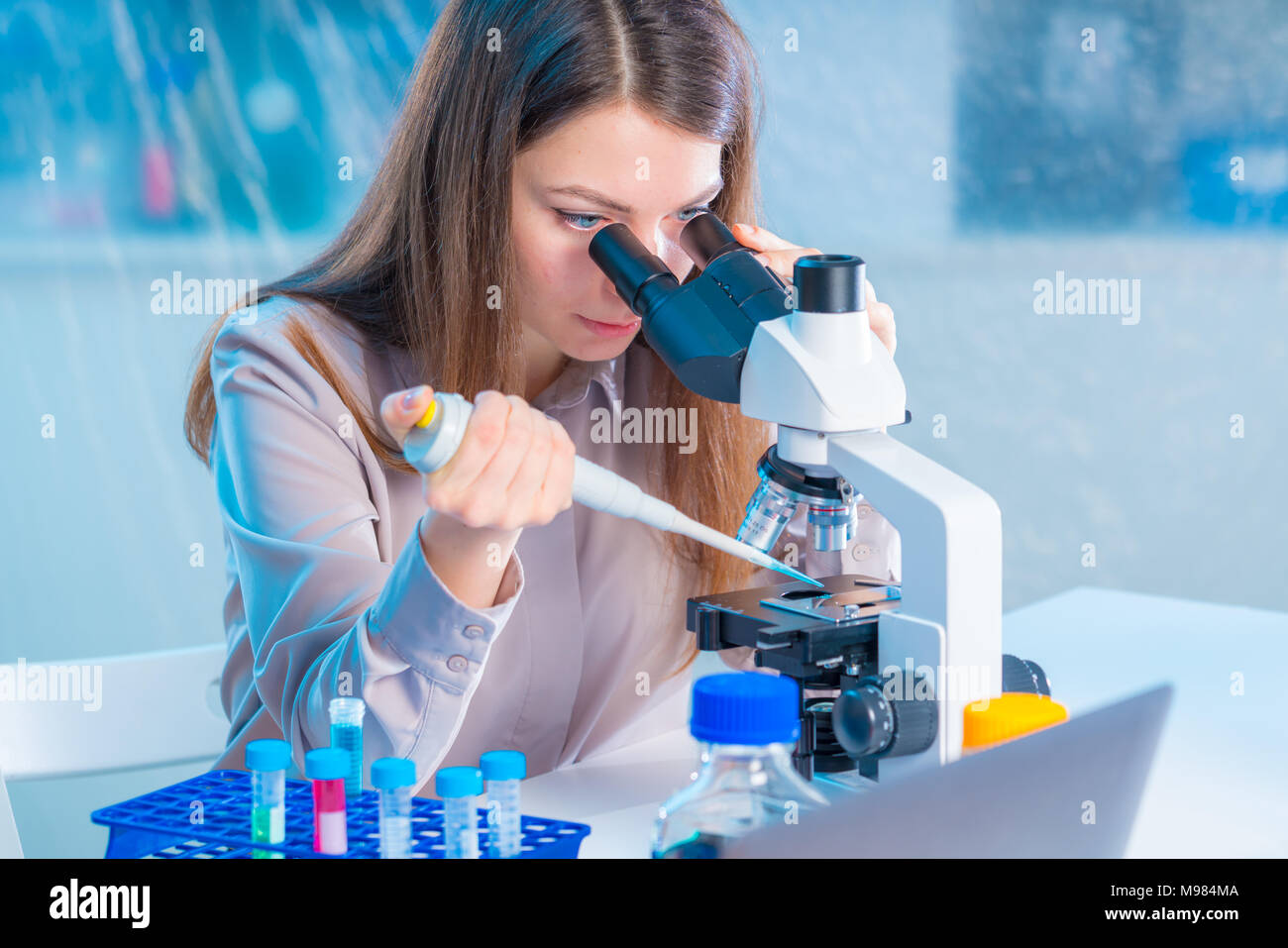 laboratory assistant with a pipette and a microscope in the laboratory ...
