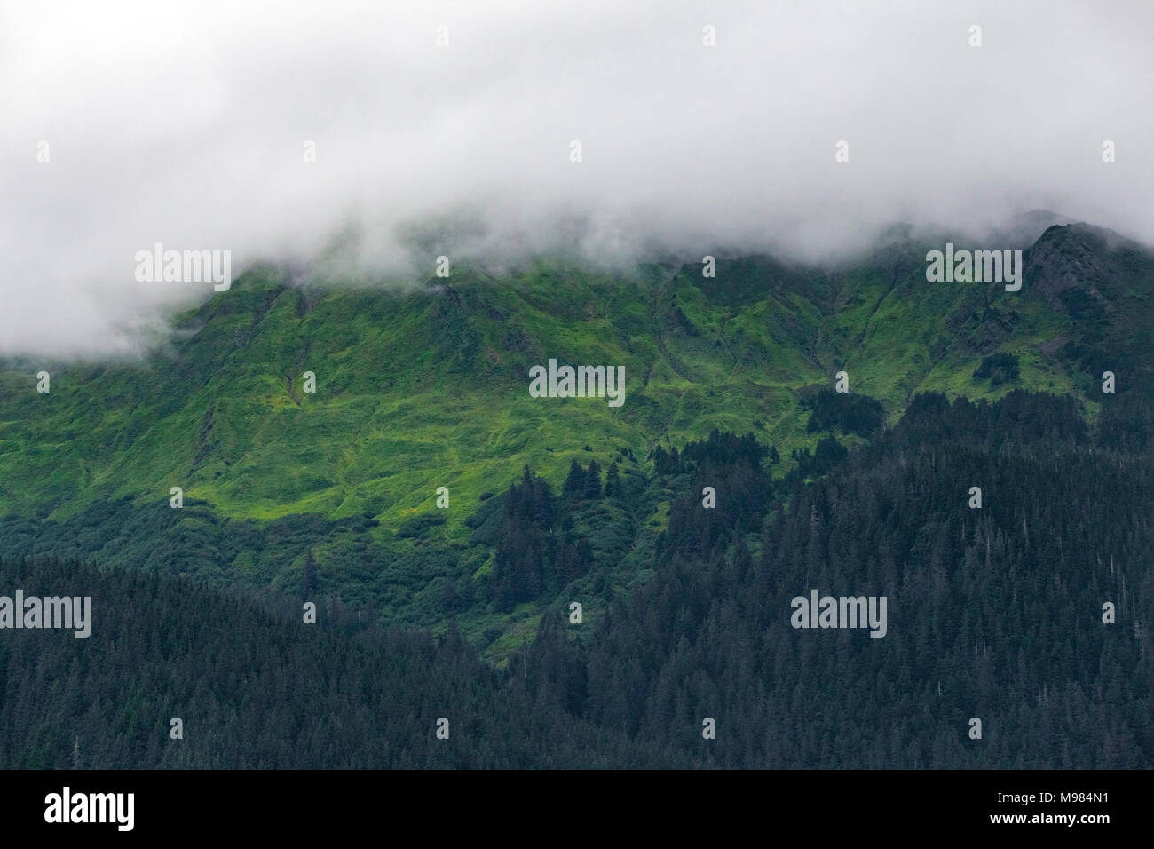 USA, Alaska, Juneau, Auke Bay, Forest and clouds Stock Photo - Alamy