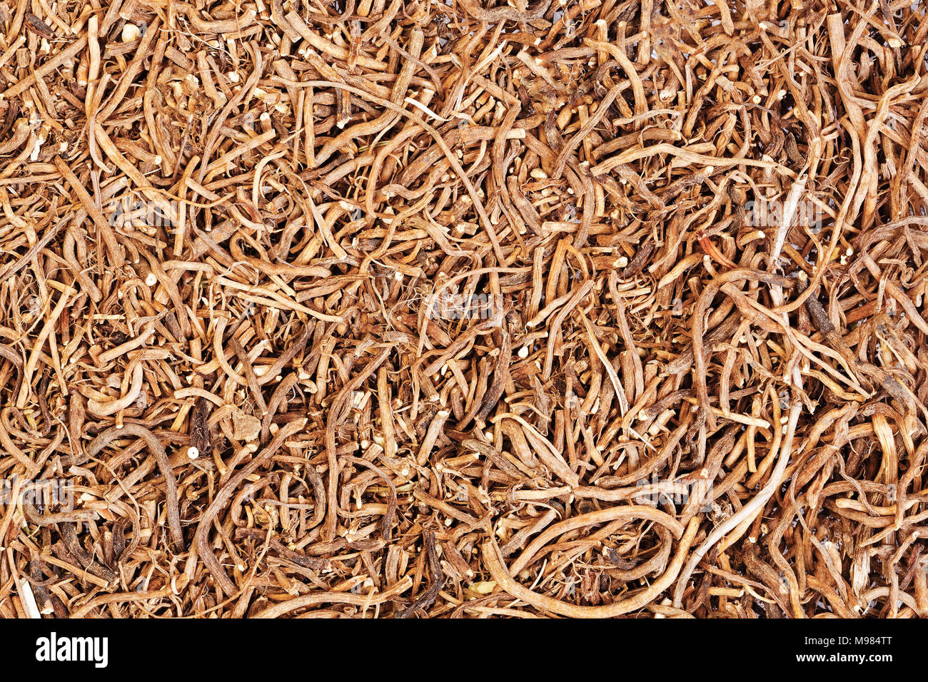 Valerian herb hi-res stock photography and images - Alamy