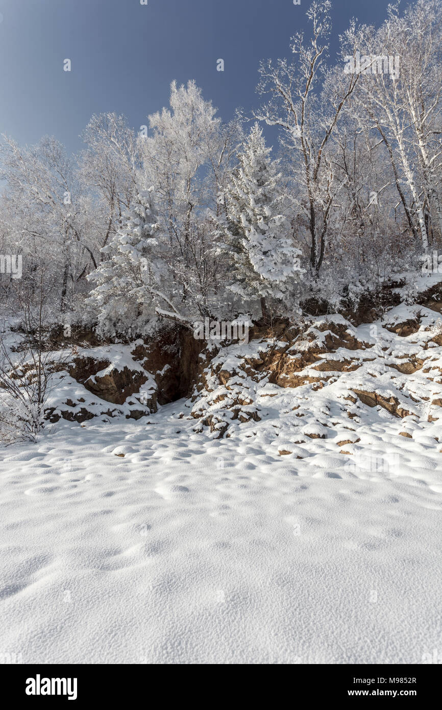Amur russia hi-res stock photography and images - Alamy