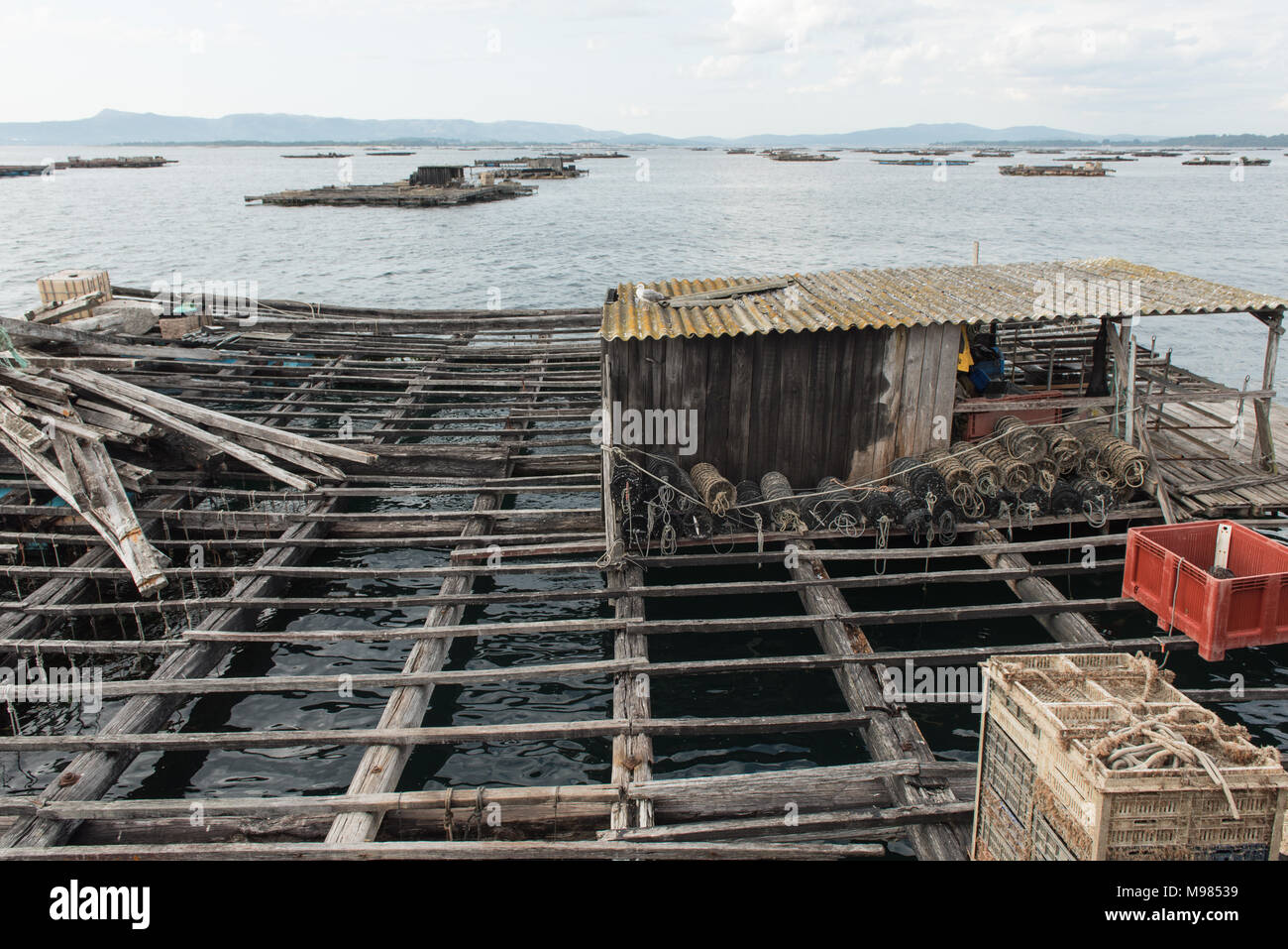 Mussel aquaculture rafts, batea, in Arousa estuary, Galicia, Spain ...