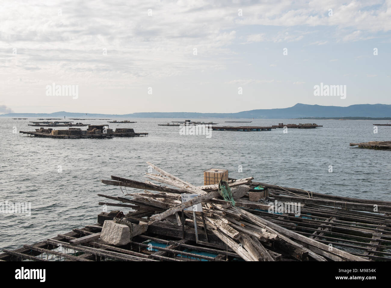 Mussel aquaculture rafts, batea, in Arousa estuary, Galicia, Spain ...