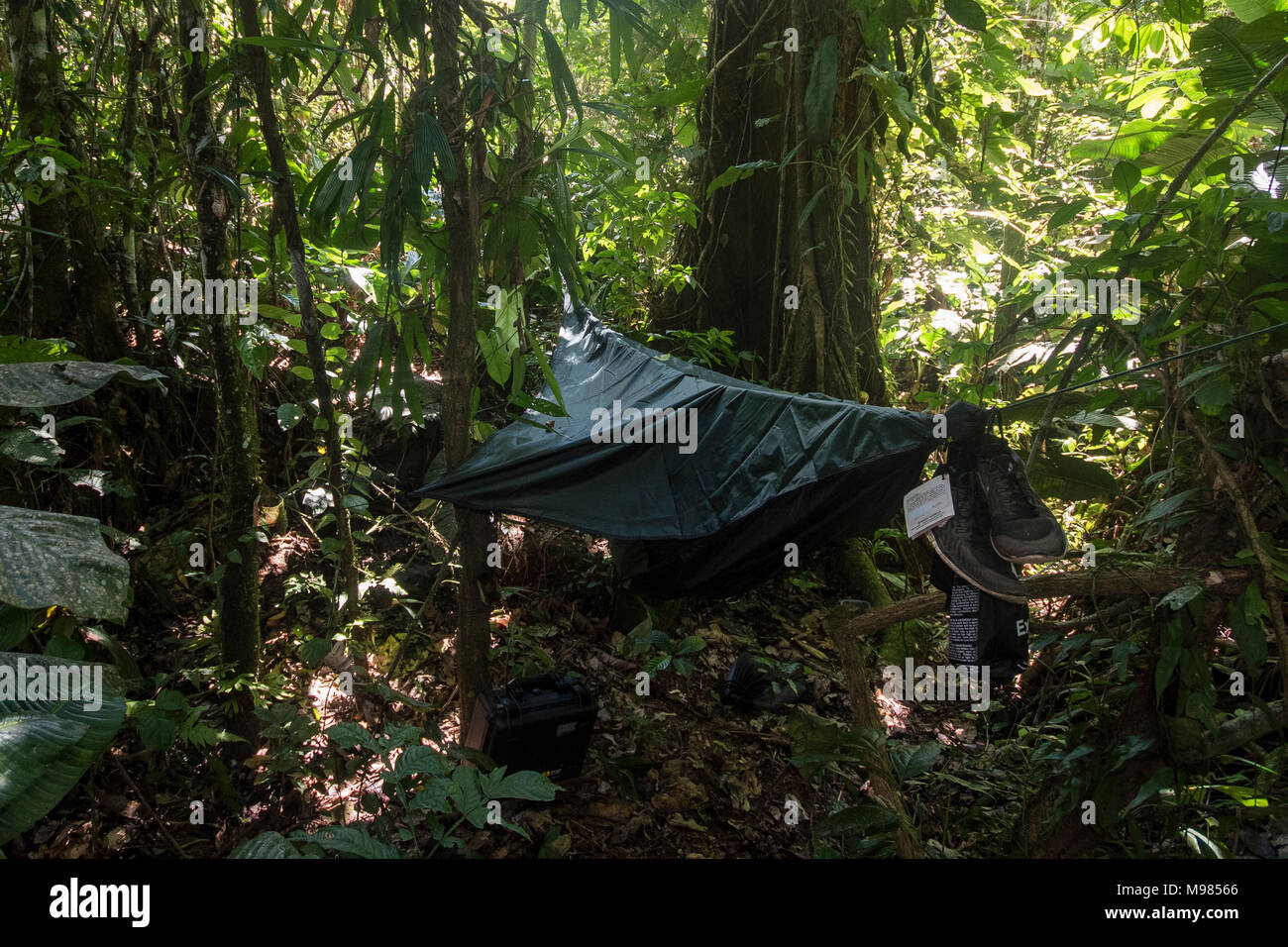 A remote campsite in the jungle Stock Photo - Alamy