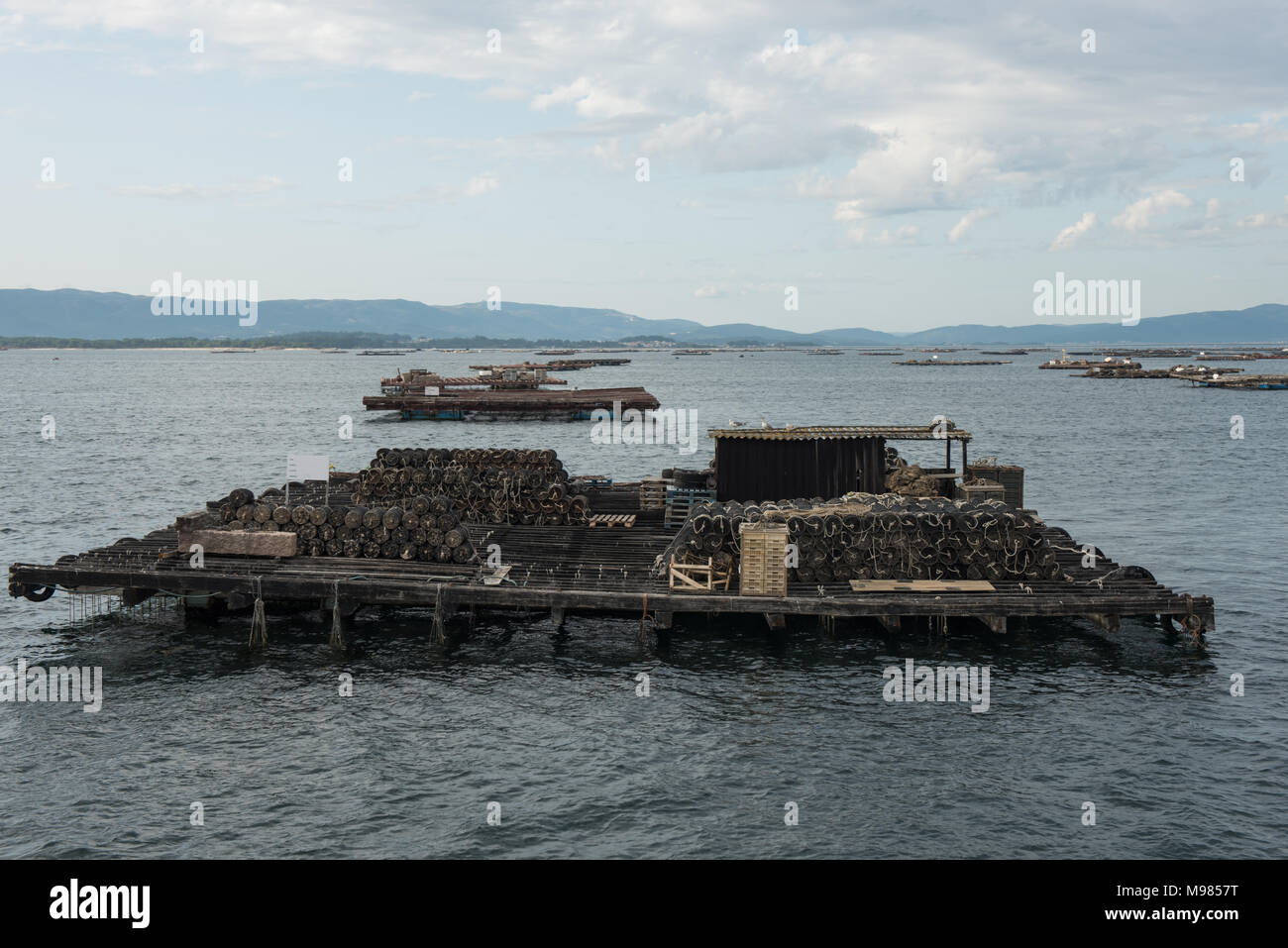 Mussel aquaculture rafts, batea, in Arousa estuary, Galicia, Spain ...