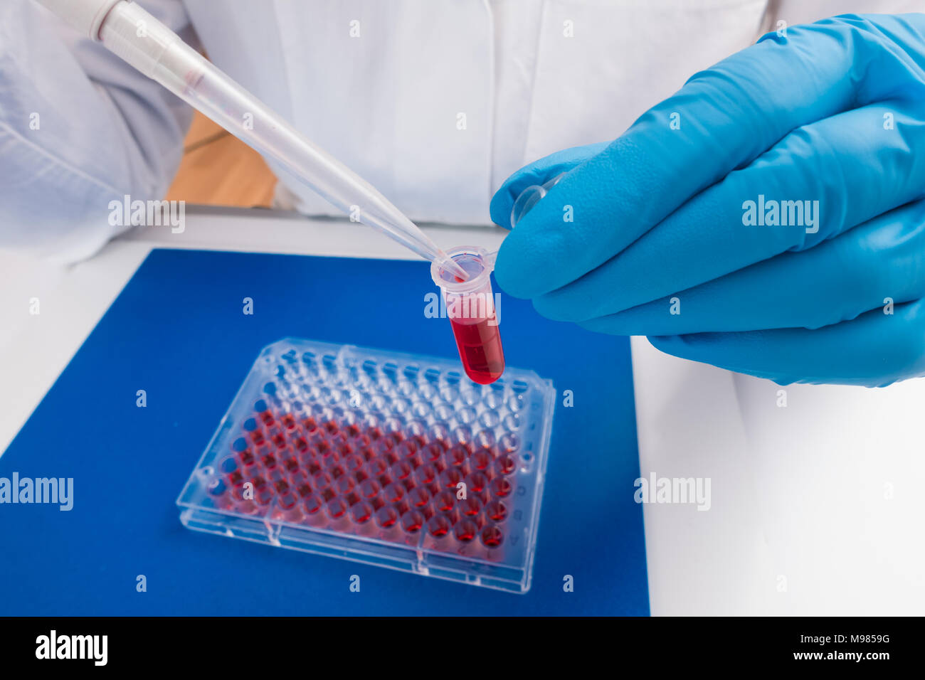 technician woman works with in genetic lab with biological materials ...
