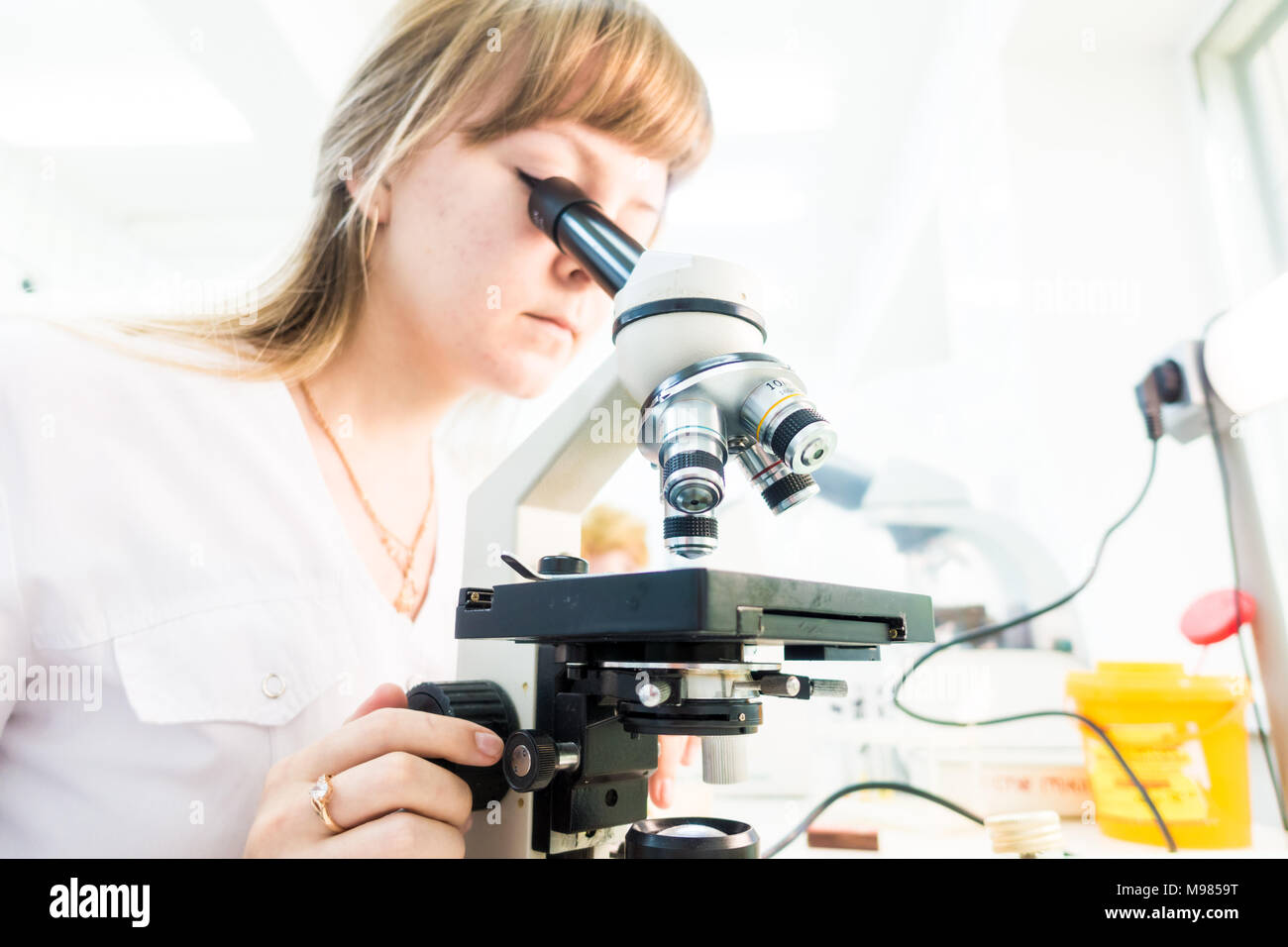 The technician in a medical laboratory Stock Photo - Alamy