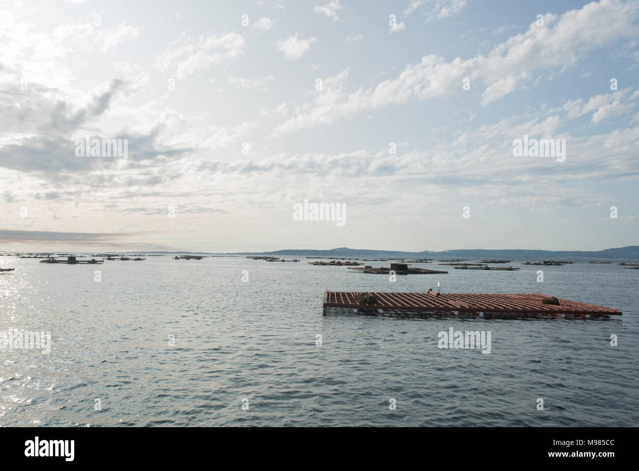 Mussel aquaculture rafts, batea, in Arousa estuary, Galicia, Spain ...