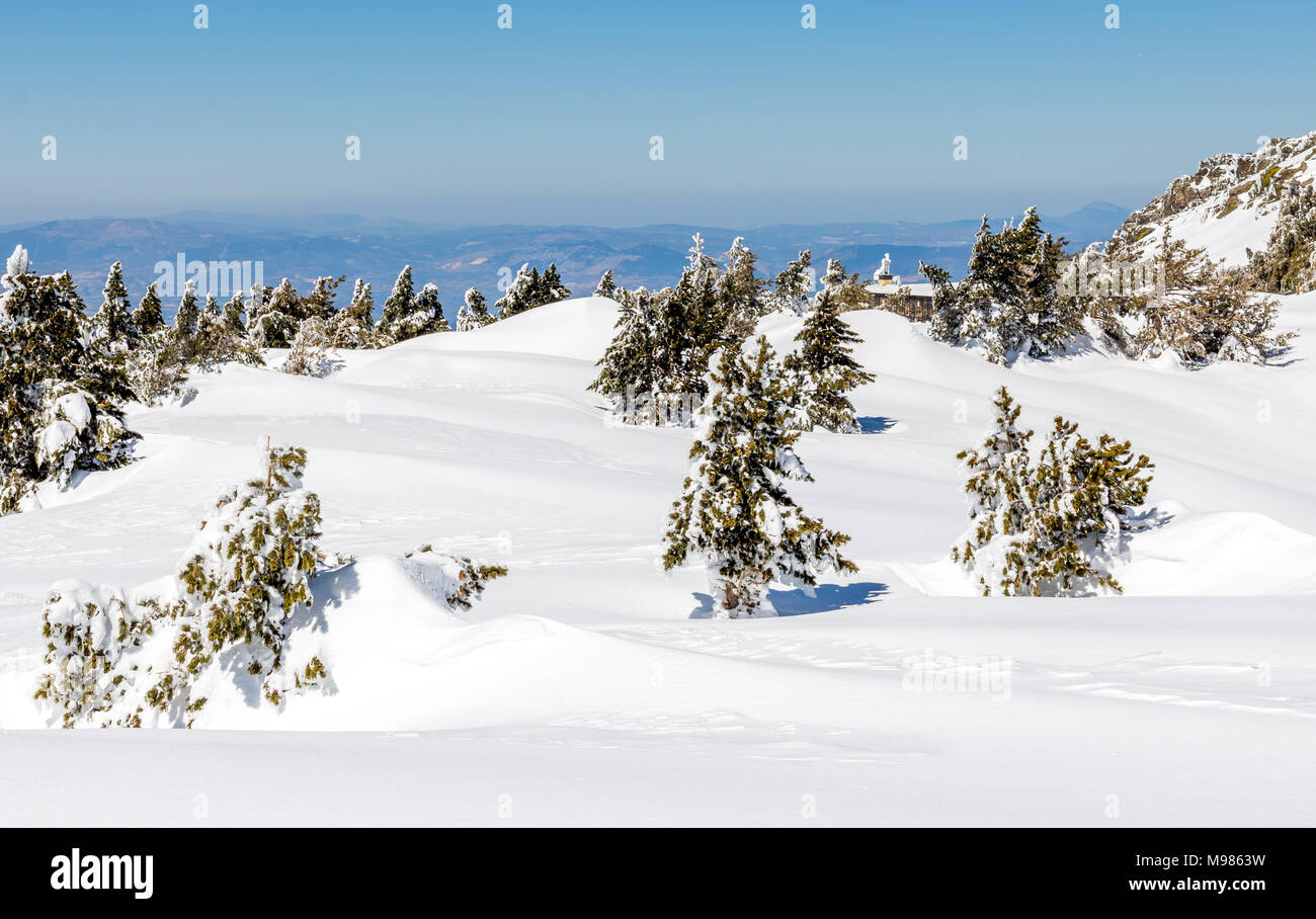 Frozen trees hi-res stock photography and images - Alamy