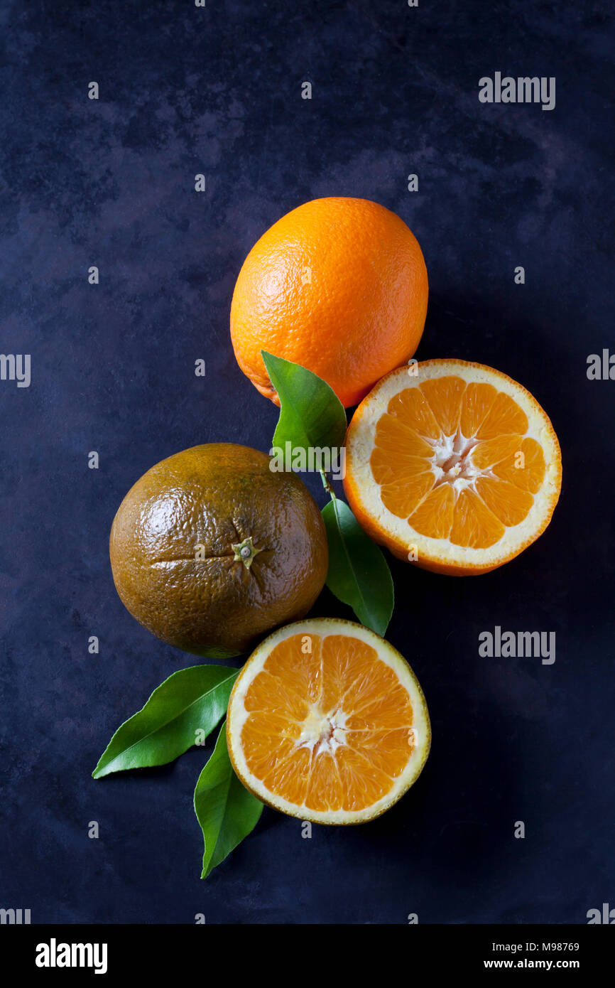 Chocolate navel orange hi-res stock photography and images - Alamy