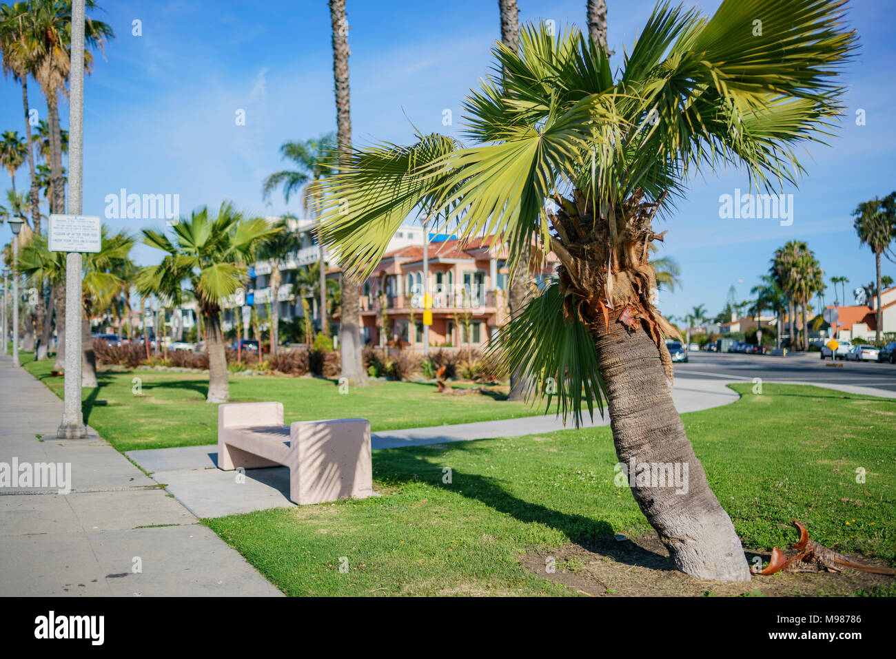 Los angeles cityscape palm trees hi-res stock photography and images ...