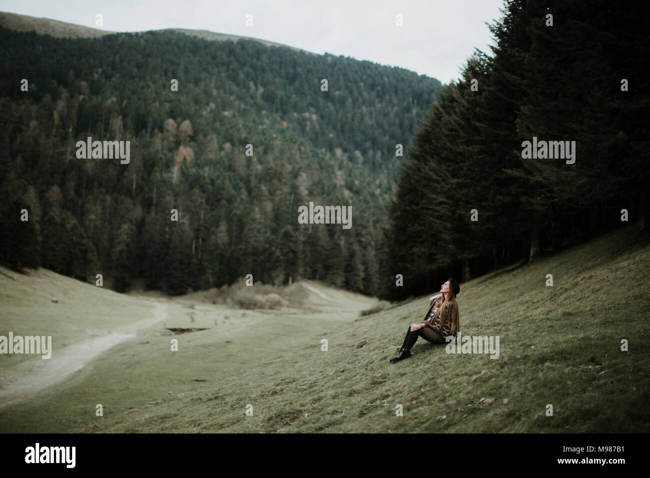 Meadow and forest edge hi-res stock photography and images - Alamy