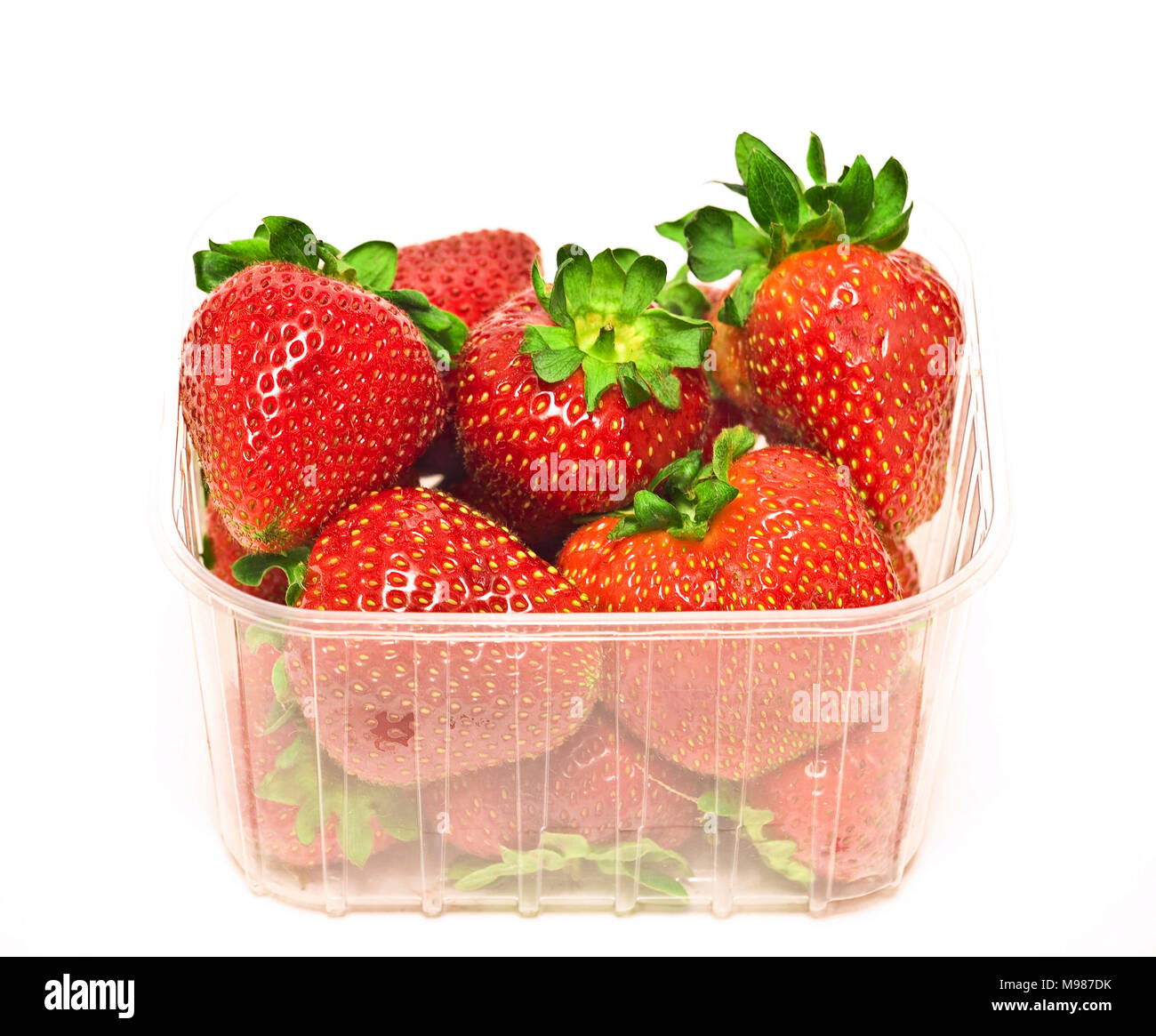 Big bin Cut Out Stock Images & Pictures - Alamy