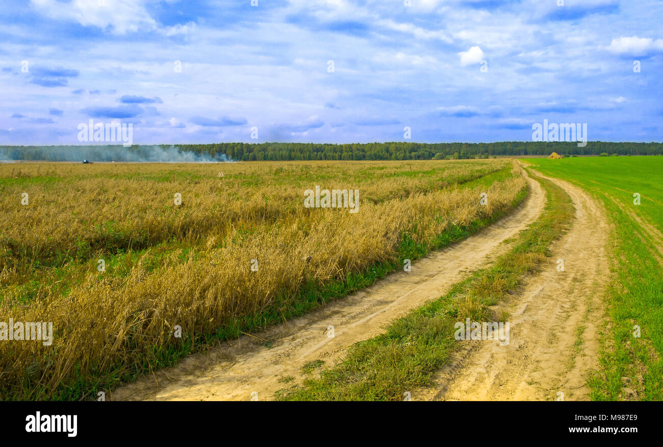 field with country road Stock Photo - Alamy