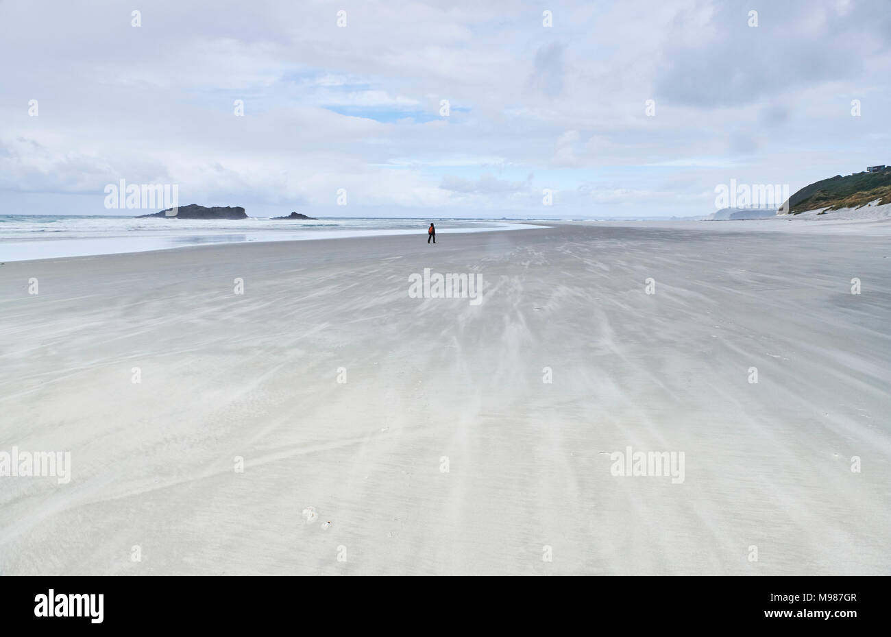 New Zealand, South Island, Dunedin, Otago Peninsula, Tomahawk Beach ...