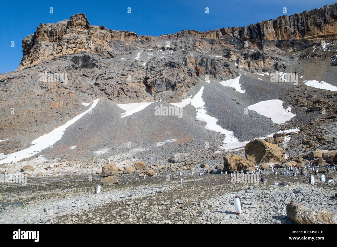 view of Brown Bluff, Antarctica, showing glacier, mountains and ice ...