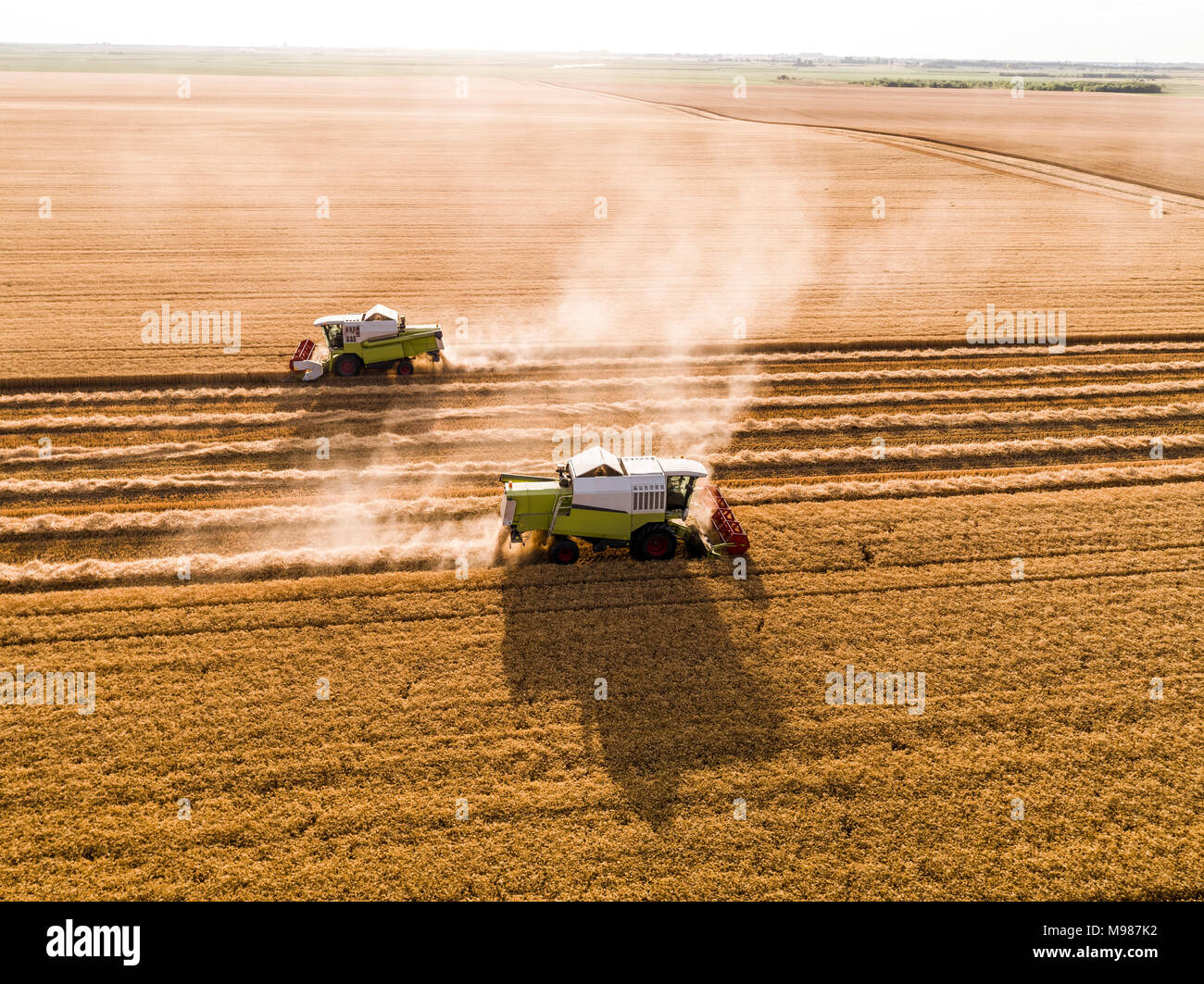 Combine harvester on a field of wheat, aerial view Stock Photo - Alamy