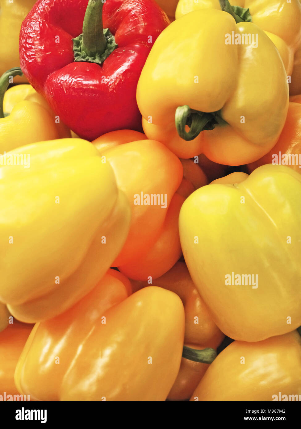 Sweet bell pepper Stock Photo - Alamy