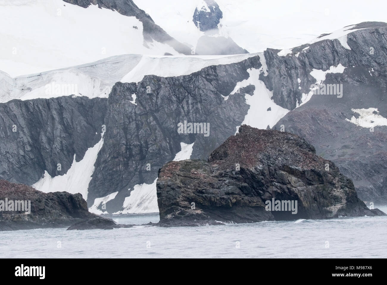Elephant Island Shackleton High Resolution Stock Photography and Images ...