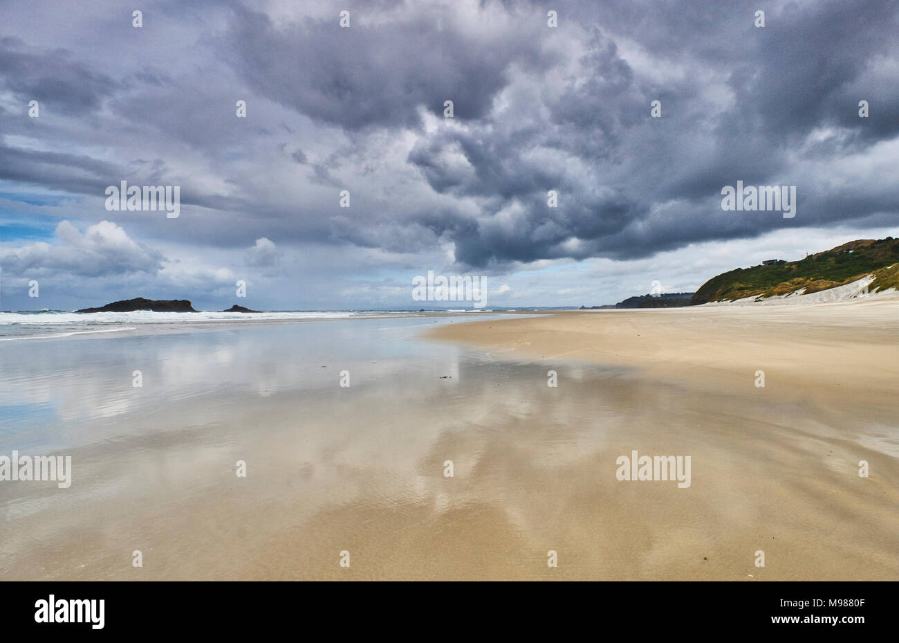New Zealand, South Island, Dunedin, Otago Peninsula, Tomahawk Beach ...