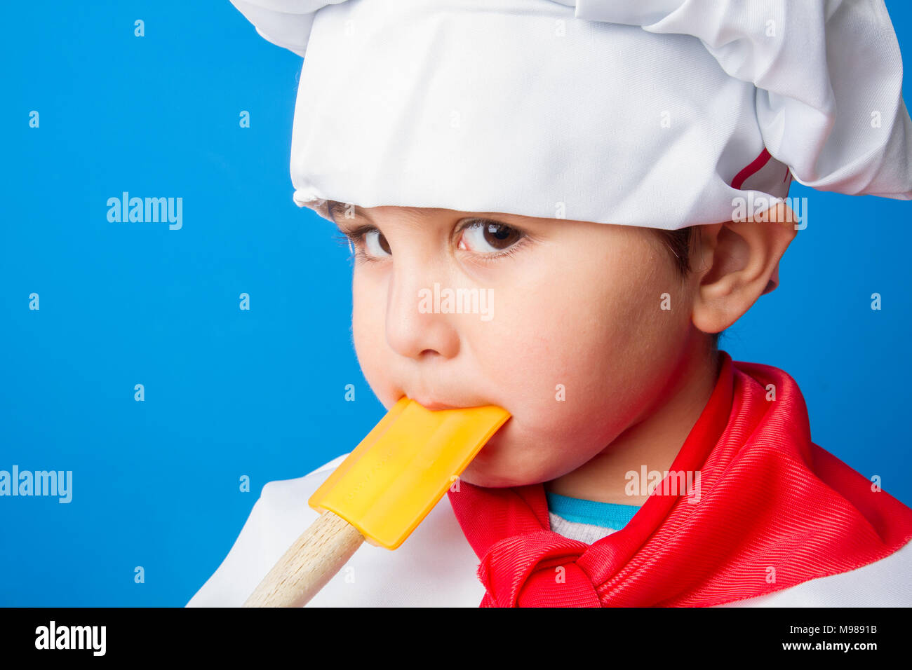 The little boy in a suit of the cook. adorable little boy in chef hat ...