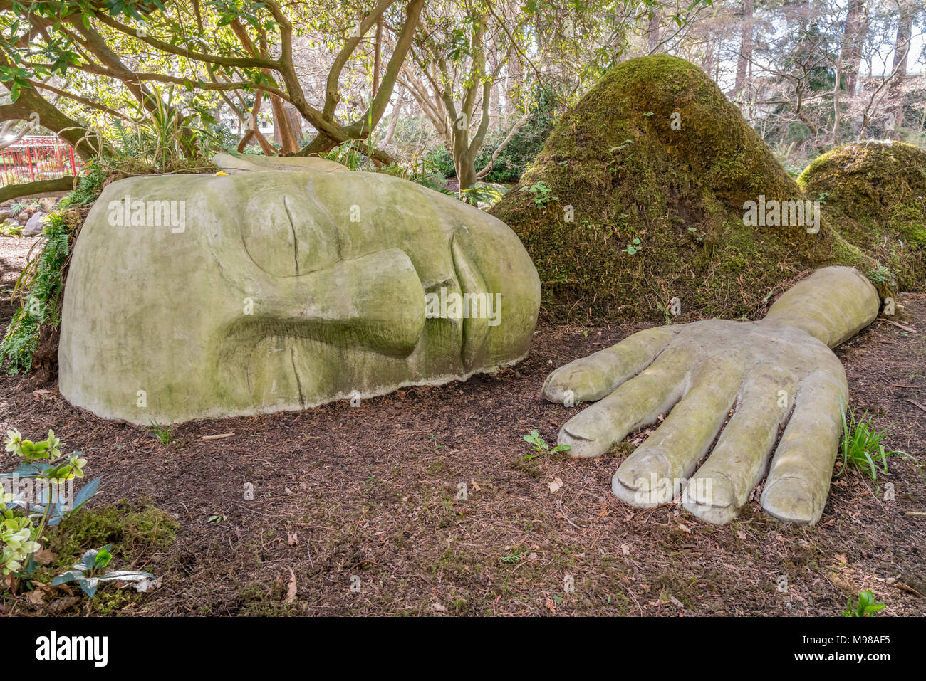 Moss Lady High Resolution Stock Photography and Images - Alamy