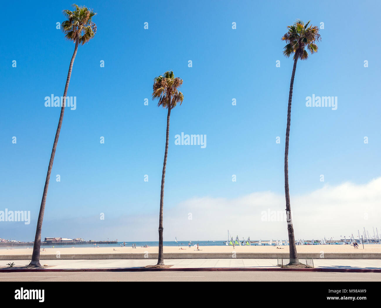 Ocean growing trees hi-res stock photography and images - Alamy