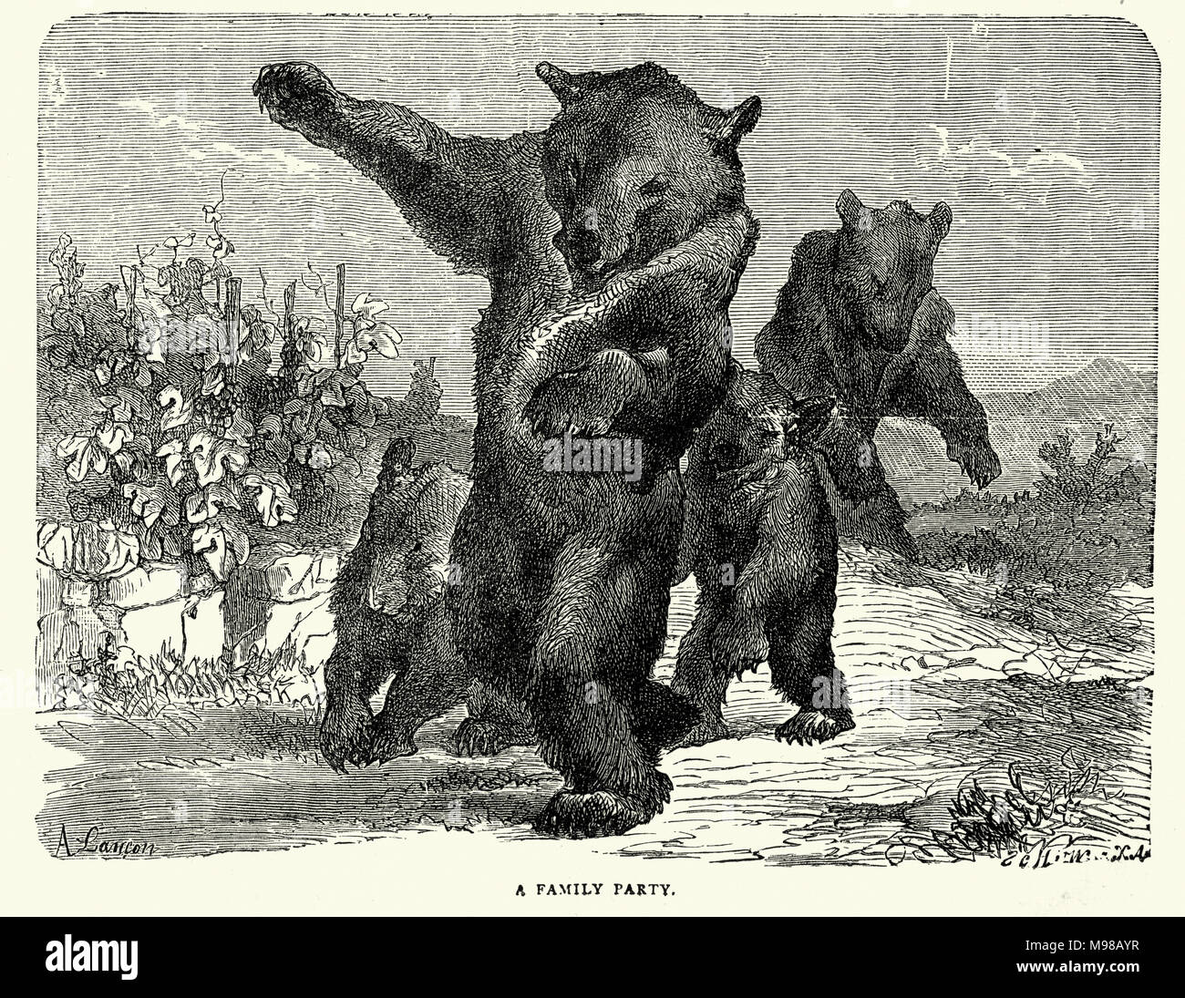 Dancing bear engraving hi-res stock photography and images - Alamy