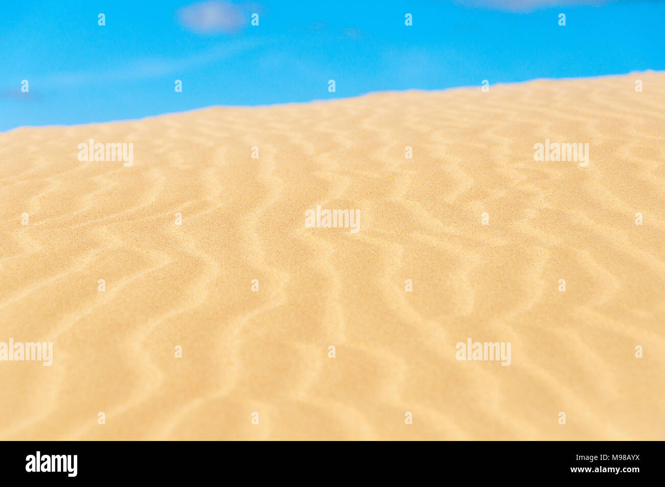 Sand dunes close up, leading lines into the sky Stock Photo - Alamy