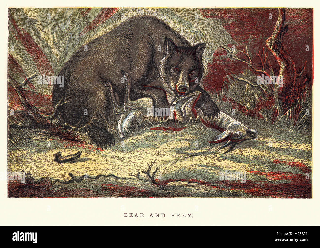 Grizzly bear painting hi-res stock photography and images - Alamy